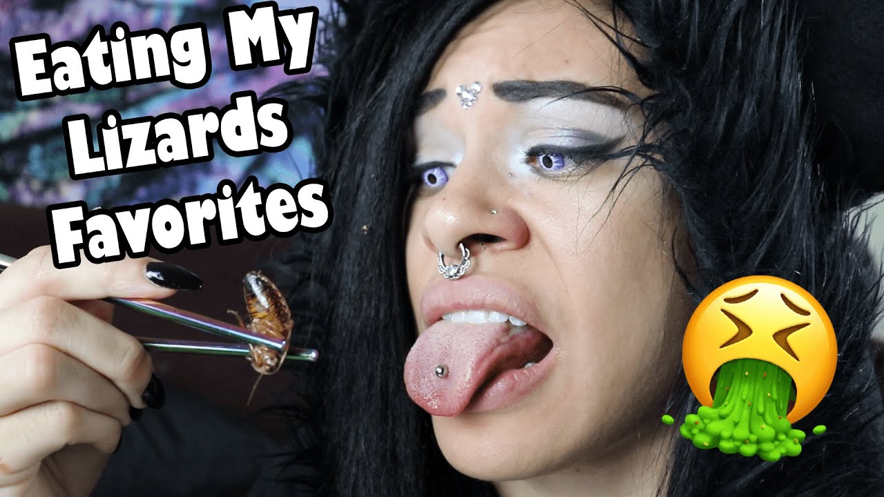 Tasting My Lizards Favorite Foods - YouTube