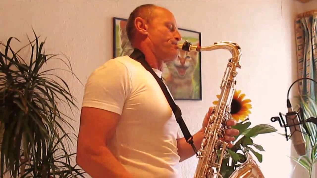 So Happy Together - Cover Version from The Turtles - Saxophone - YouTube