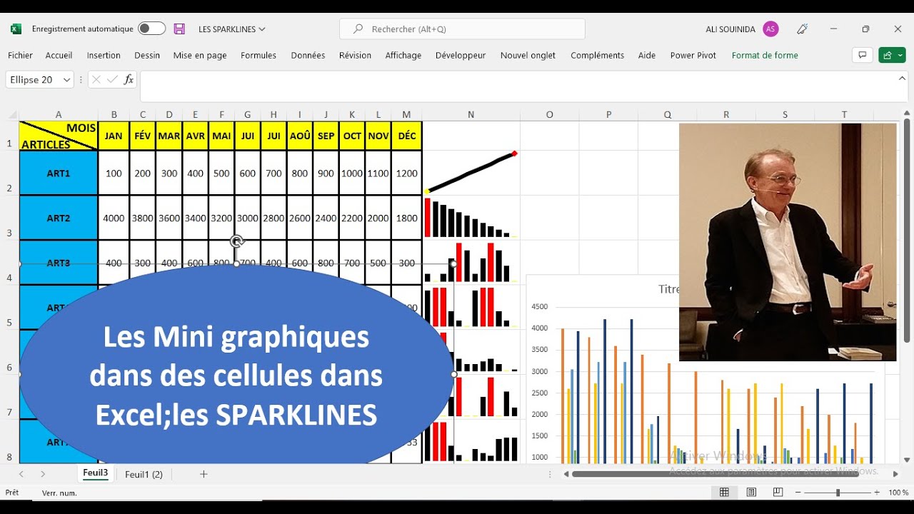 Mini-graphiques dans les cellules d'Excel ; SPARKLINES - YouTube