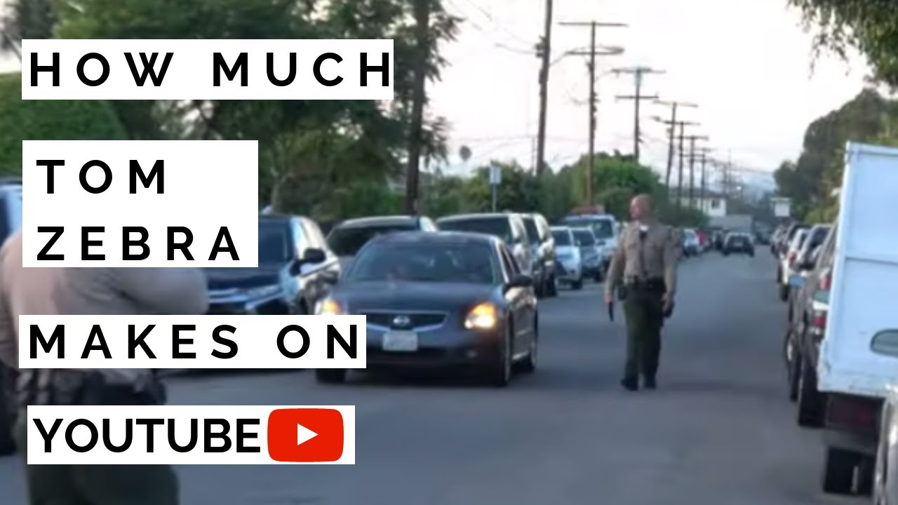 How much Tom Zebra makes on Youtube - YouTube