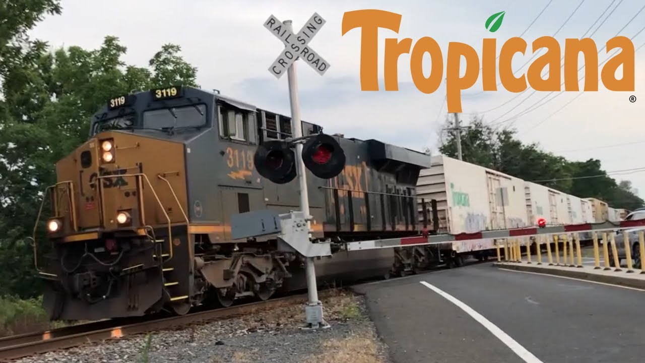 Railfanning the CSX Tropicana train (nowadays a mixed freight train ...