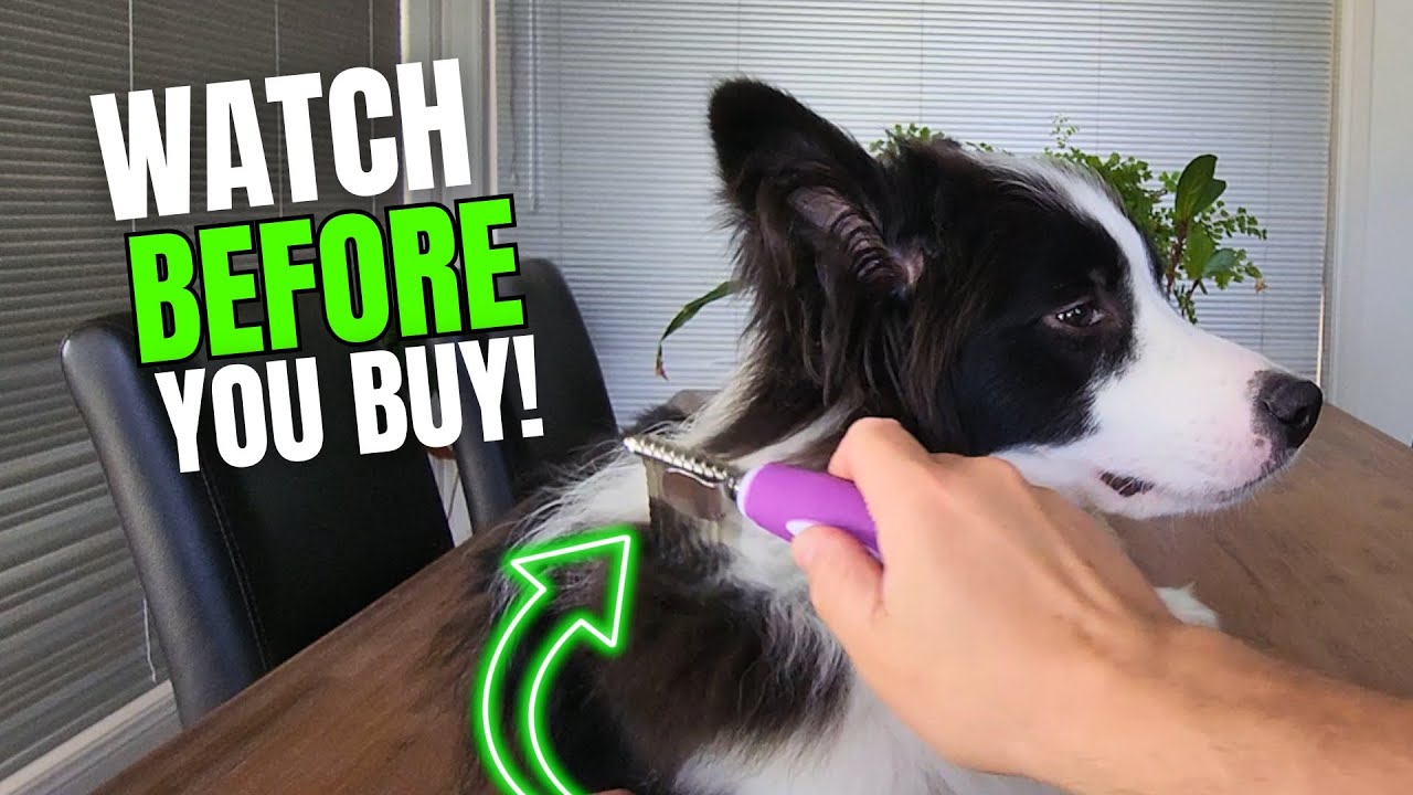 How the Poodle Pet Fur Rake Comb Makes Grooming Easy - YouTube