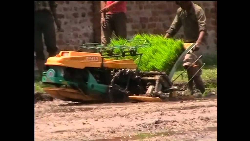 rice transplanter walking type - YouTube