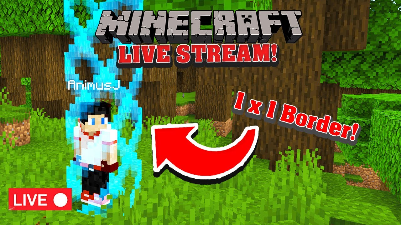 100 Days in Minecraft Hardcore 1x1 World (Expanding Border) pt 1 - YouTube