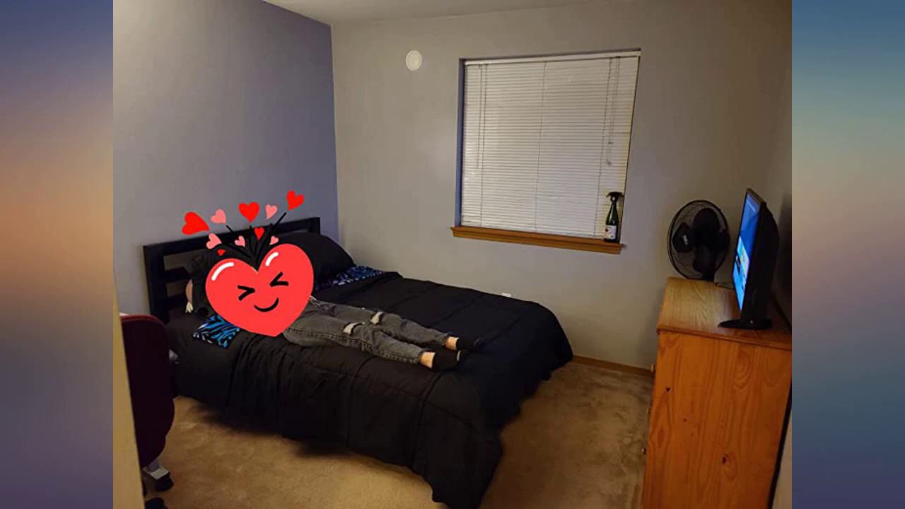 Zinus Arnav Modern Studio 10 Inch Platform 2000H Metal Bed Frame with ...