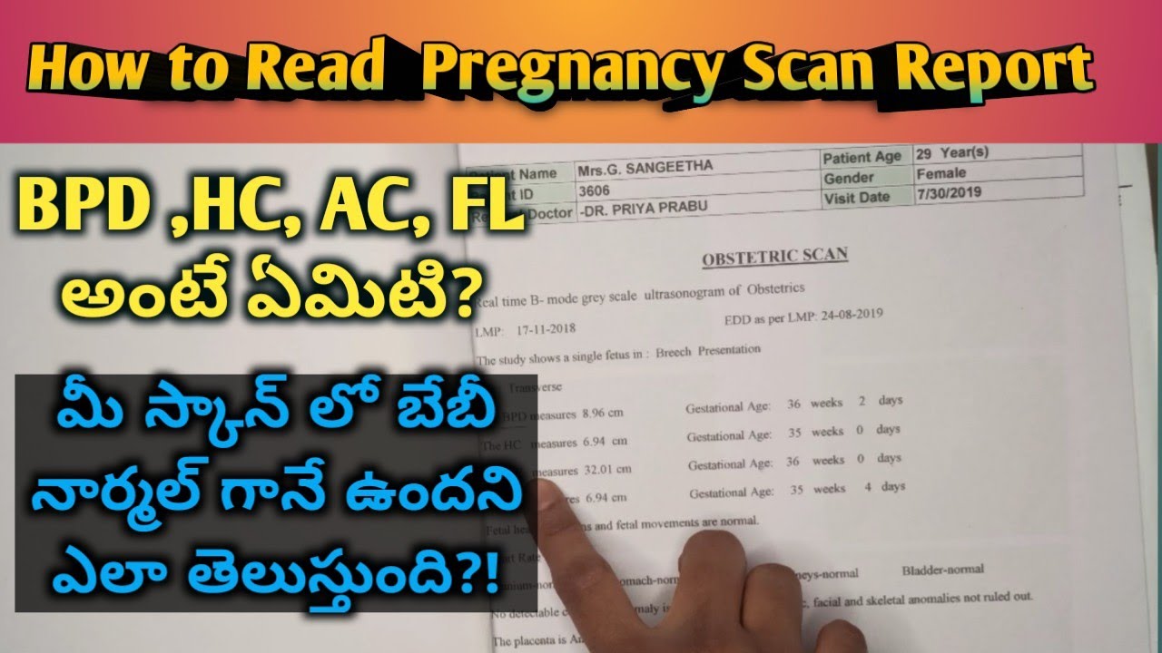 How To Read Scan Reports During Pregnancy In Telugu Growth Scan Report How To Read Scan Reports During Pregnancy In Telugu Growth Scan Report
