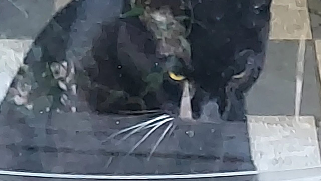 The Astrology of September 21, 2023 - YouTube