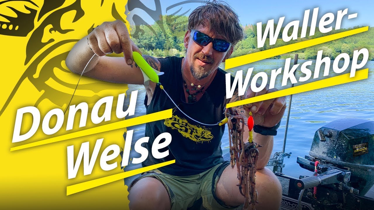 Welsangeln an der Donau | Umlenkboje und Tauwurm | Waller-Workshop - YouTube