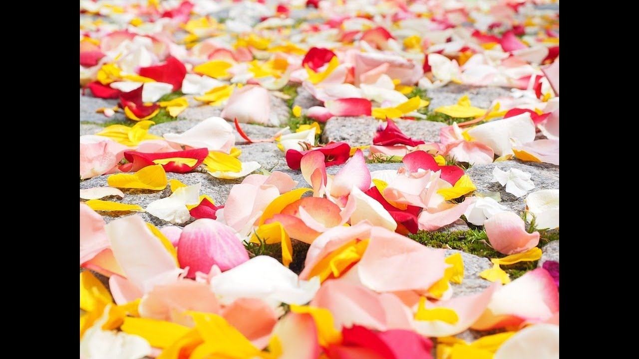 Raga Nagaswarali: Arohanam, Avarohanam and Alapana | Raga Surabhi - YouTube