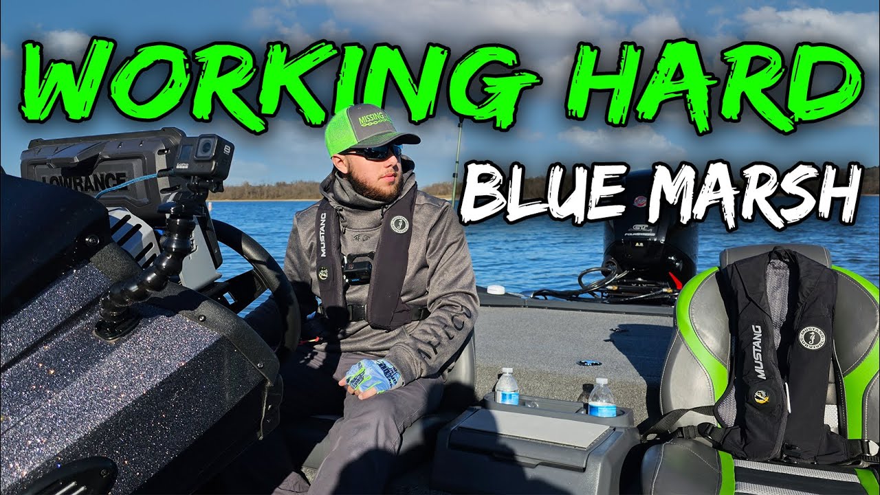 Working HARD for FIRST Fish of the Year – Blue Marsh Lake - YouTube