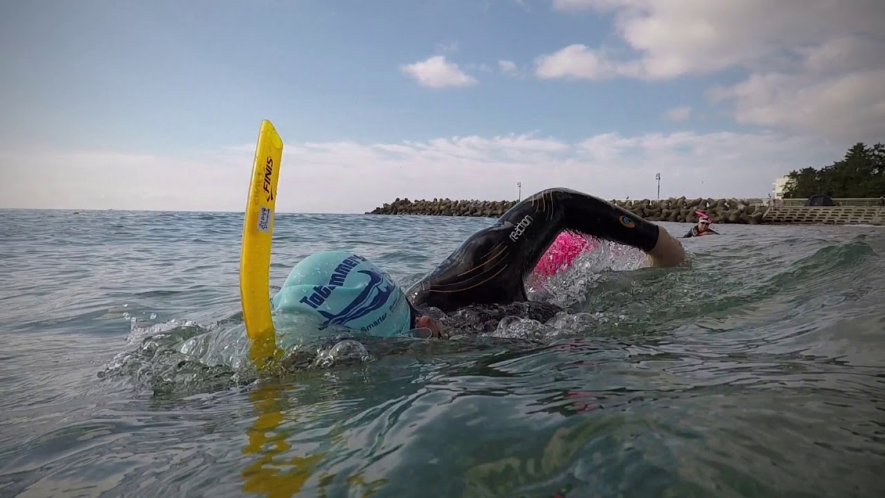Total immersion swimming Openwater - YouTube