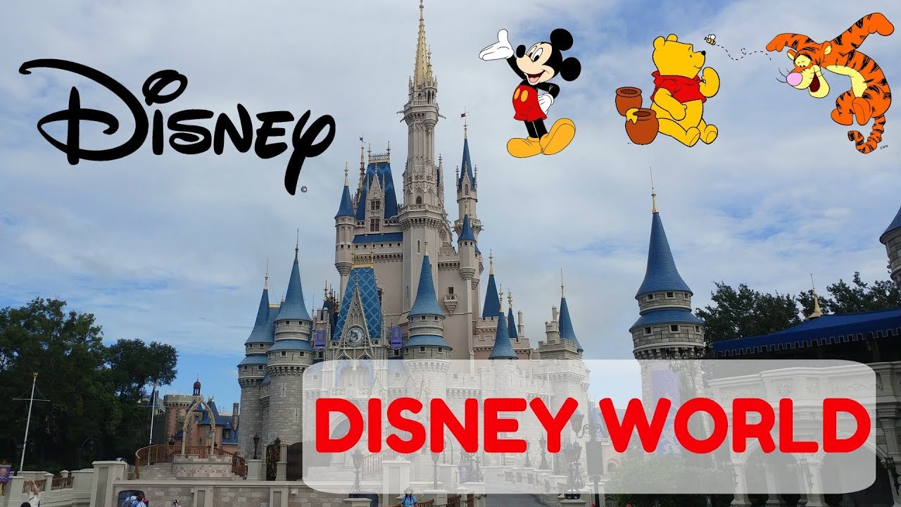 Boy vs. World - Disney World (PRIVATE TOUR EXPERIENCE) - YouTube