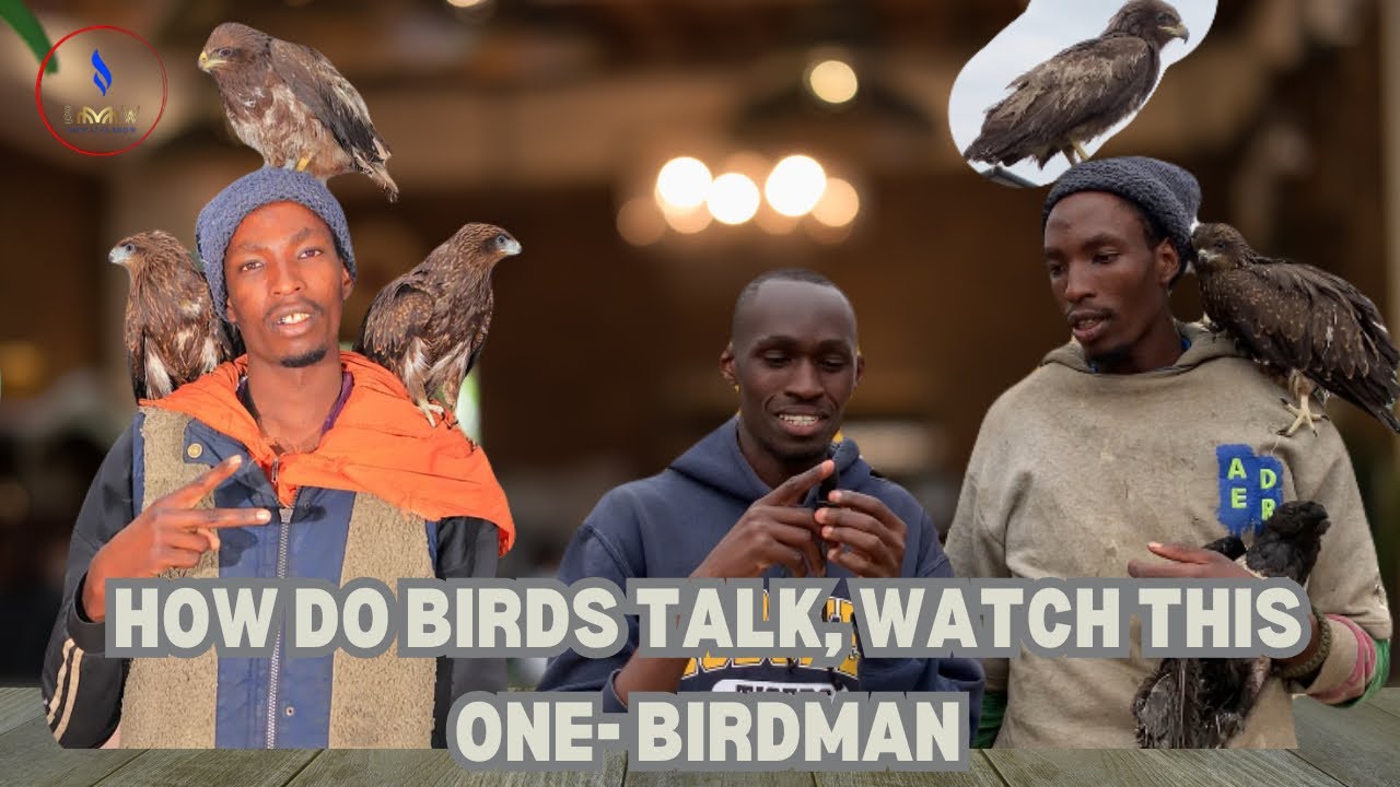 NAIROBI BIRDMAN SPEAKING TO HIS BIRDS, LEARN HOW TO BOND WITH BIRDS ...
