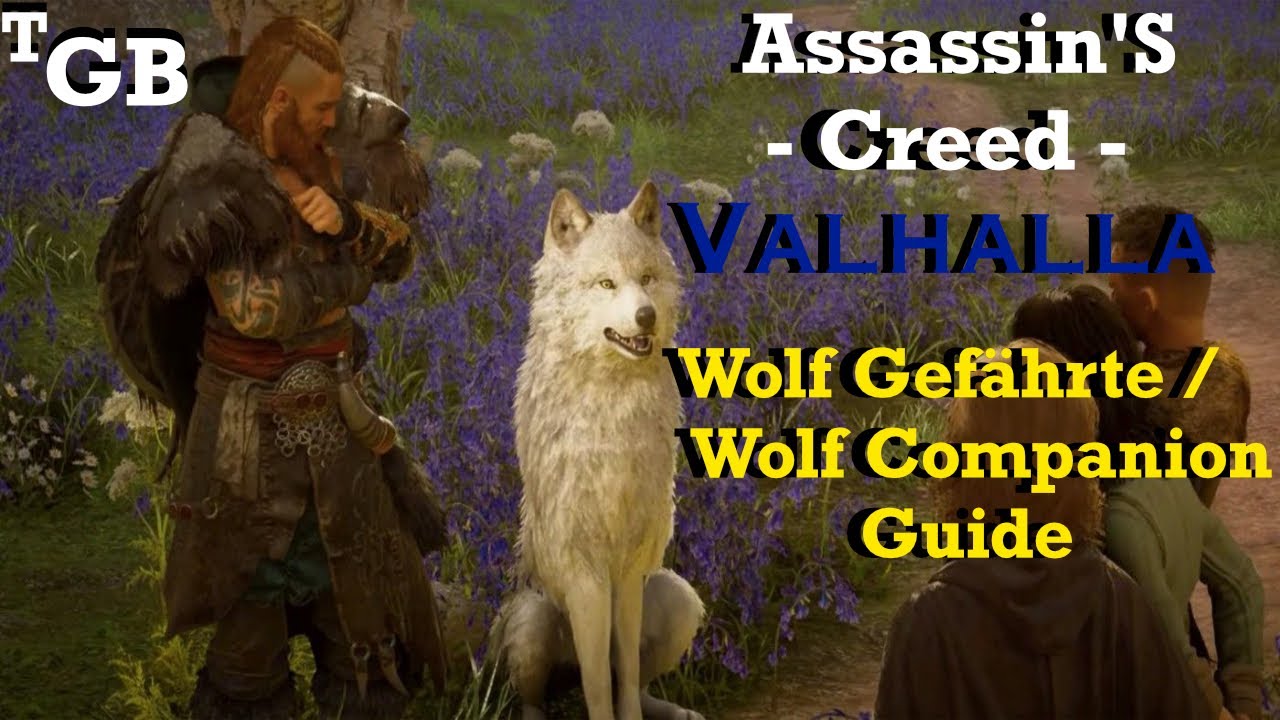 Wolf Gefährte / Wolf companion Guide! – Assassins Creed Valhalla - YouTube