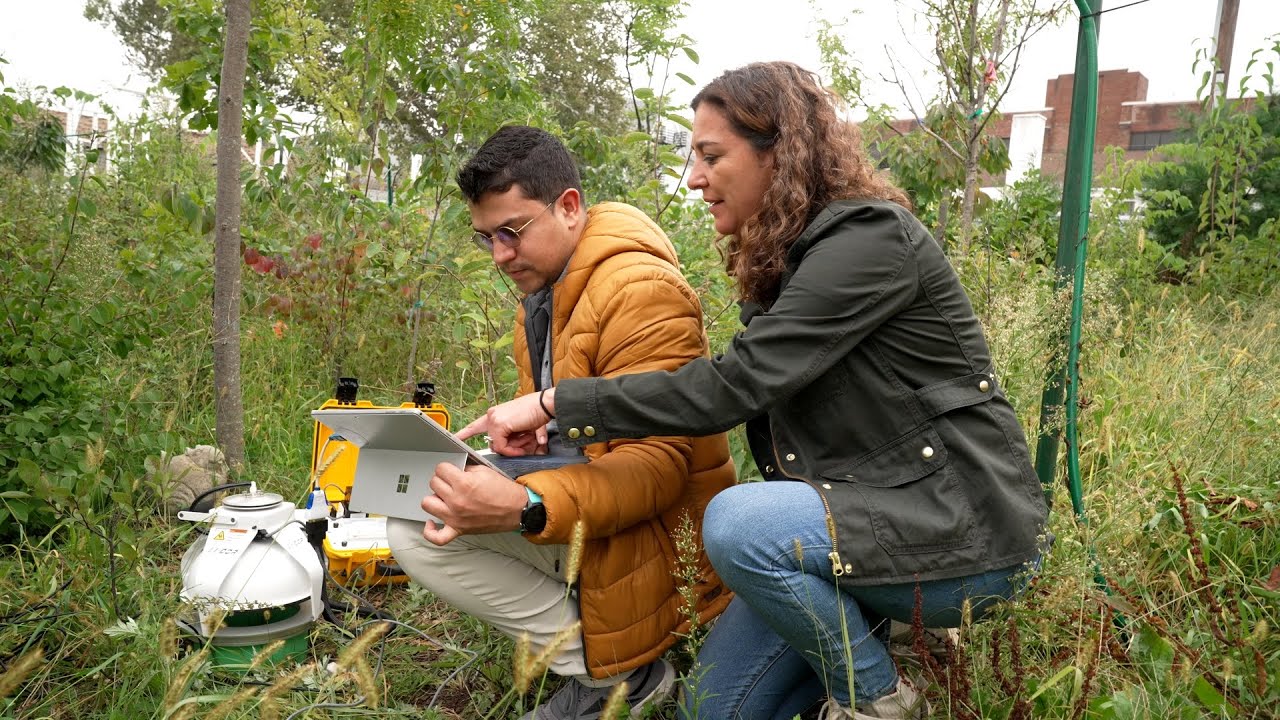 Microforest Research at Kean University | Big Impact in Small Spaces ...