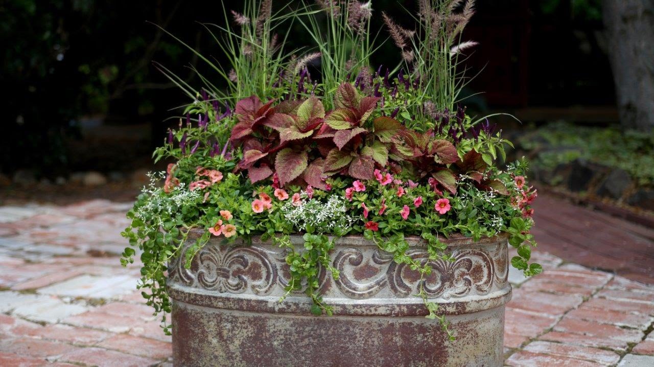 A Container with Texture - YouTube