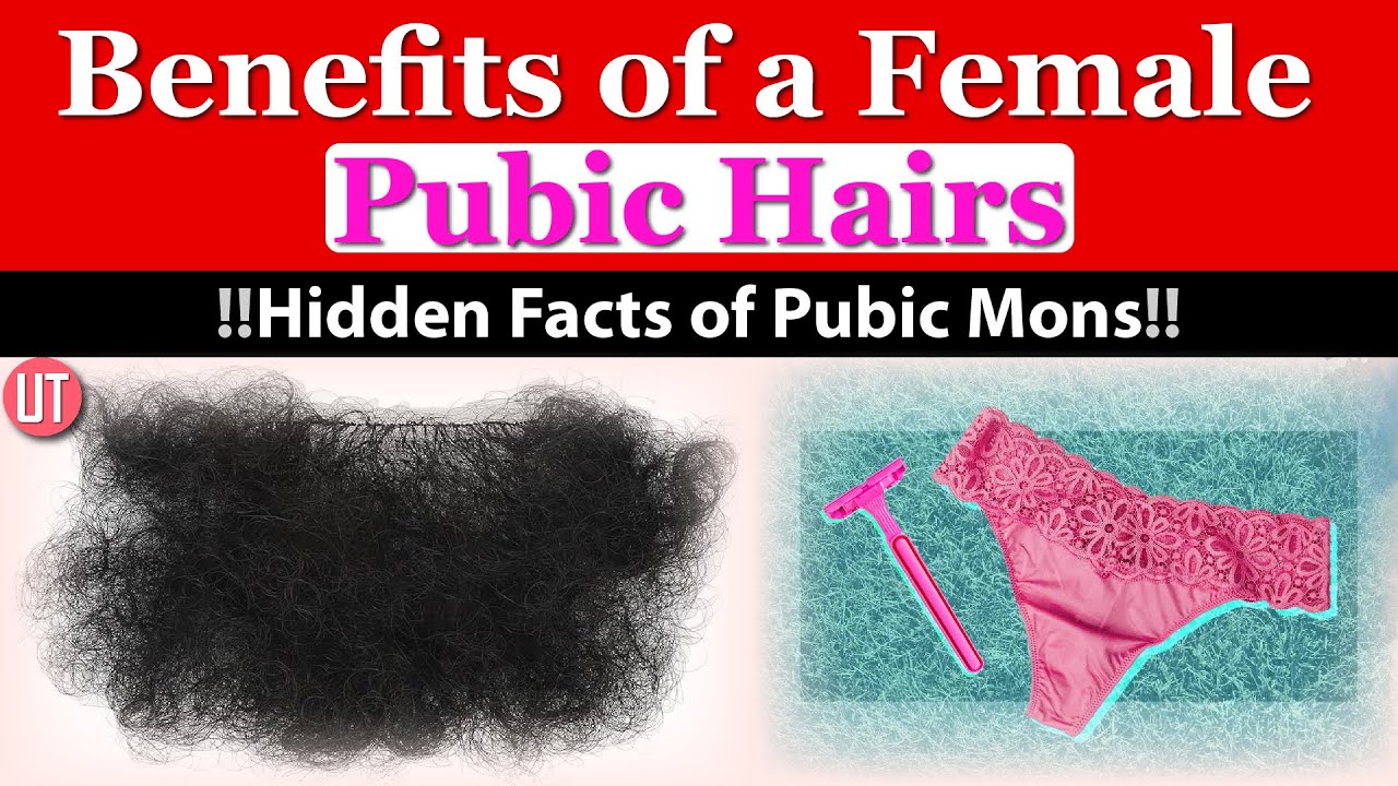 What are the benefits of a female Pubic Hairs | Pubic Mons | Female ...
