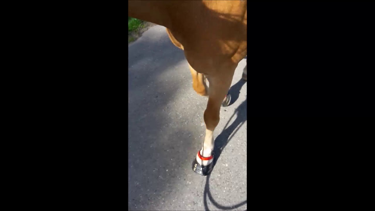 erster Test mit Scoot Boots - YouTube