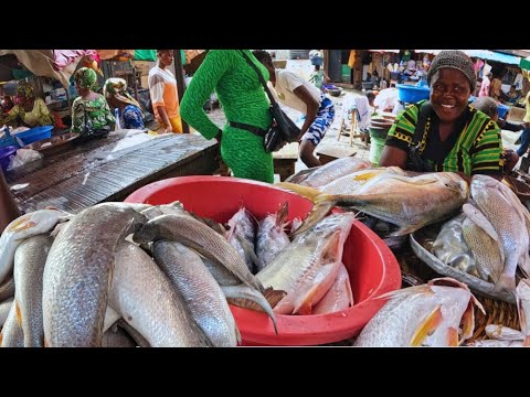 Inside Makoko’s Biggest Fish Market: Makoko’s Hidden Gem! - YouTube