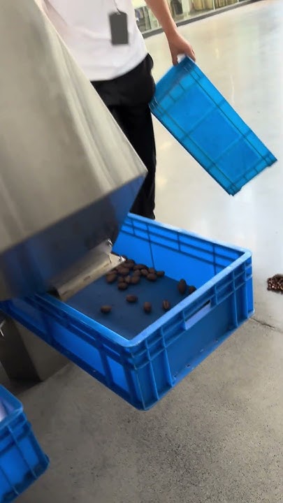 TAIHO AI Deep Learning Sorting Machine - Sorting Broken Pecans #sorting #grading #taihosorter ...