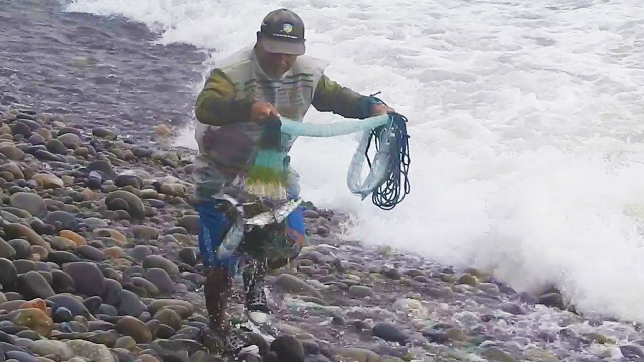 Pescadores lanzan sus redes en Mar BRAVO y reciben una entrega gigante ...