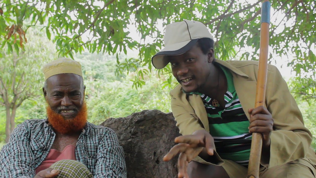 ማሩ ባላገሩ የጋዜጠኛውን ቦታ ወረሰ ክፍል 17 maru balageru 17 - YouTube