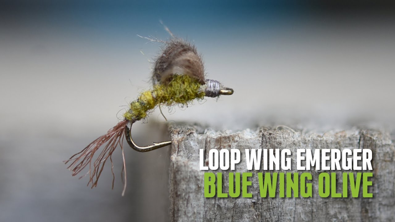 Loop Wing Emerger Blue Wing Olive - YouTube