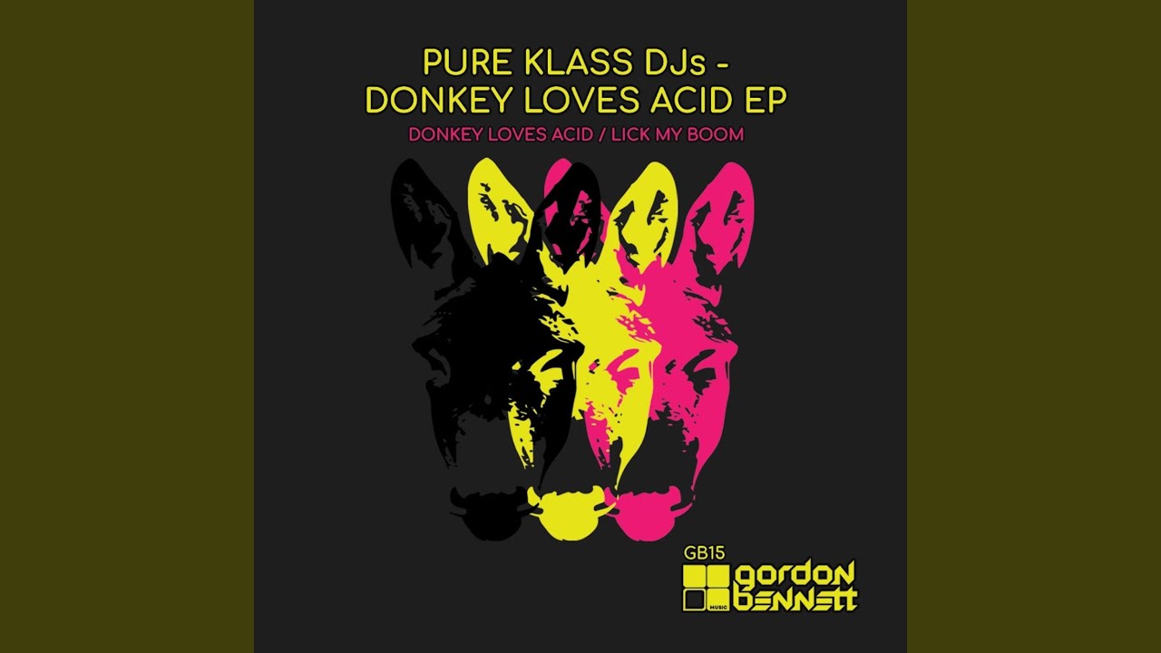 Donkey Loves Acid (Original Mix) - YouTube