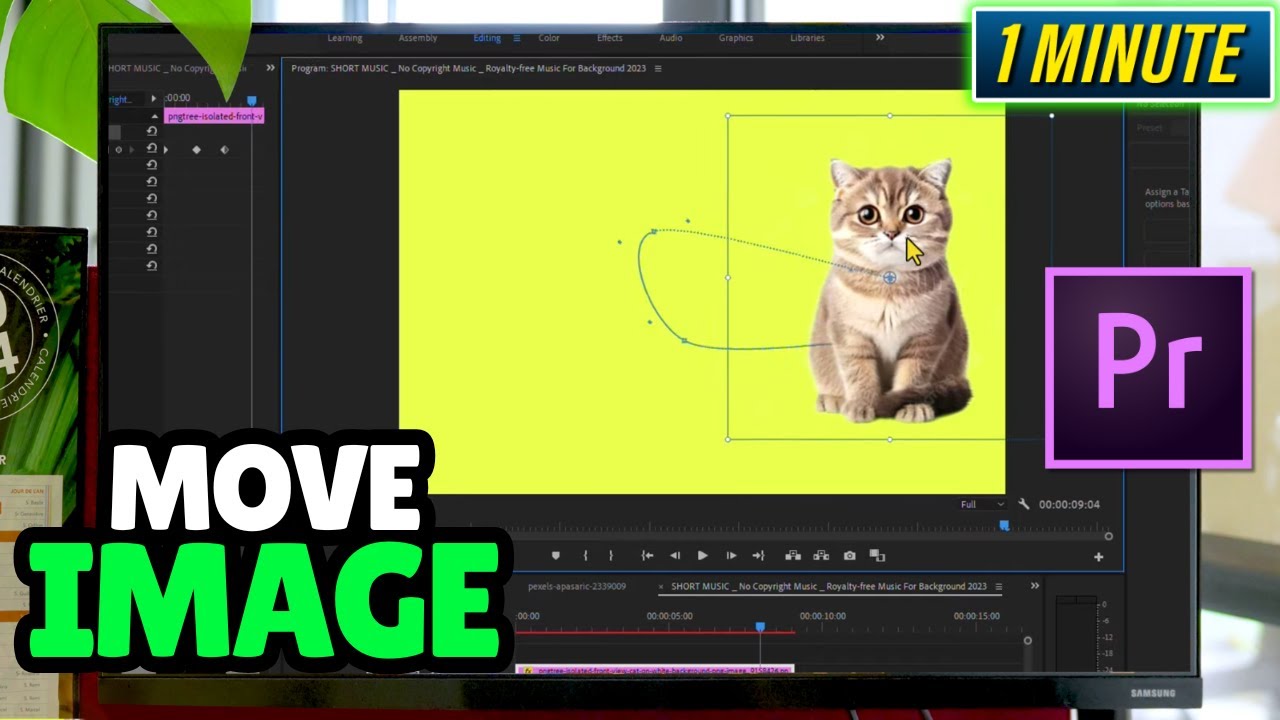 How to Move Images in Premiere Pro | Moving Images and Effect Controls ...