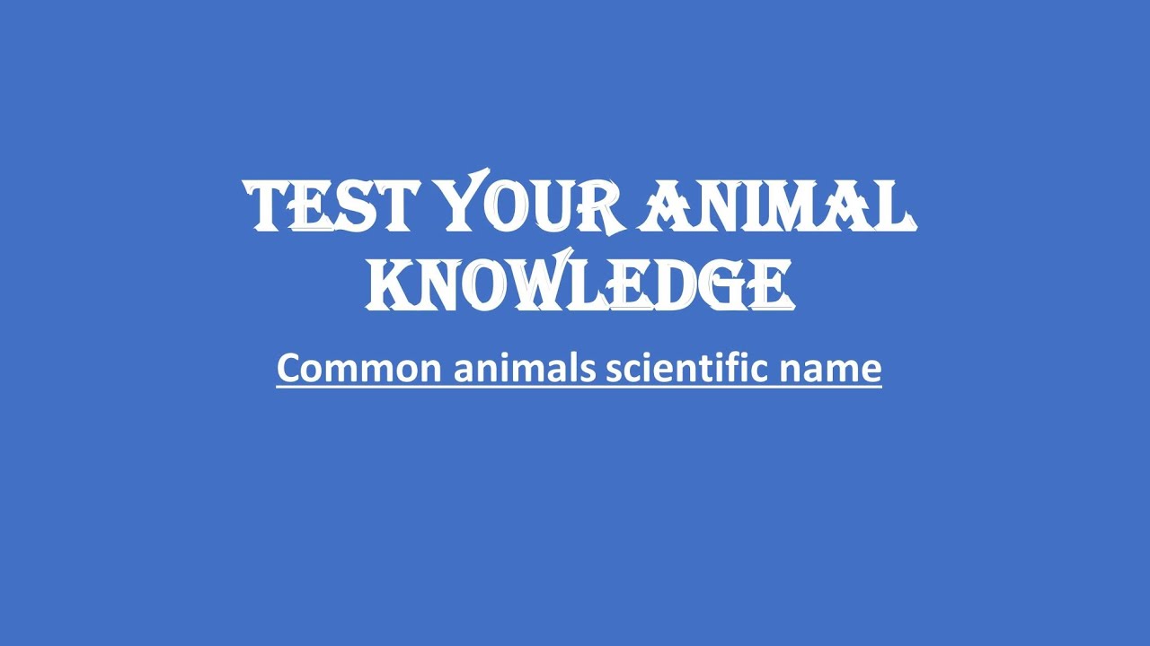 Scientific name of animals | scientific name of common animals ...
