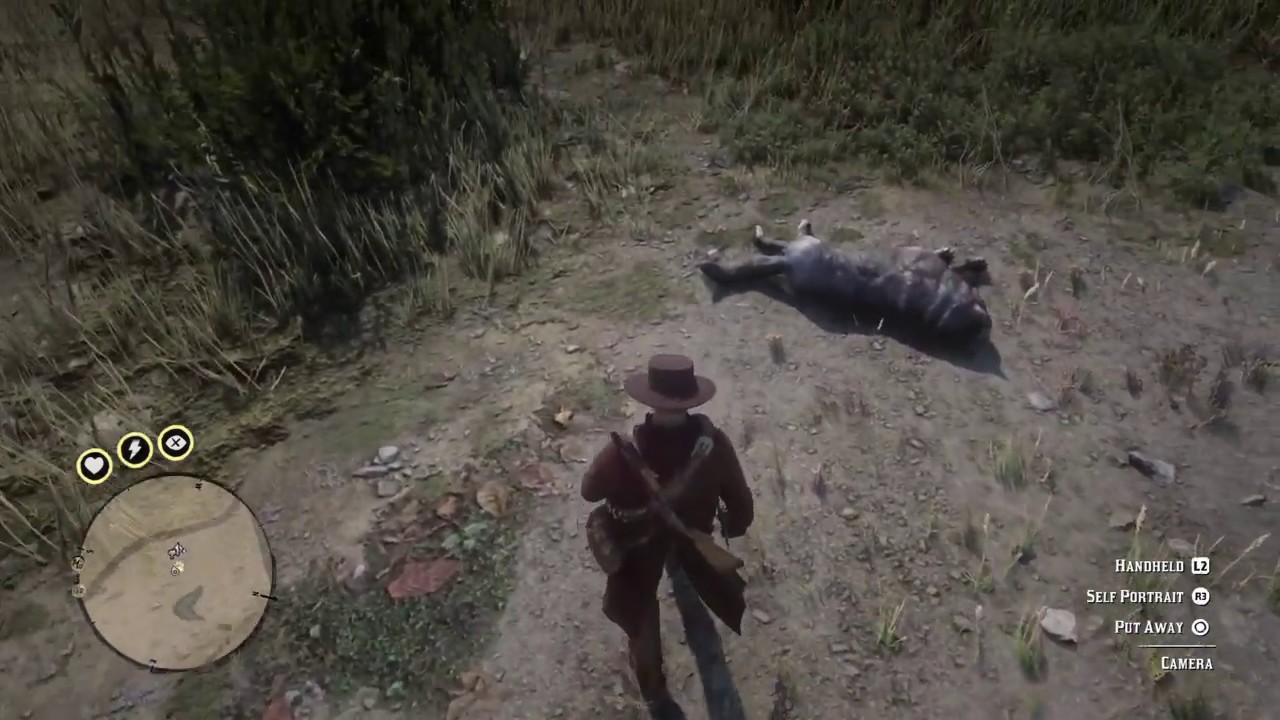 Red Dead Redemption 2|legendary wolf - YouTube