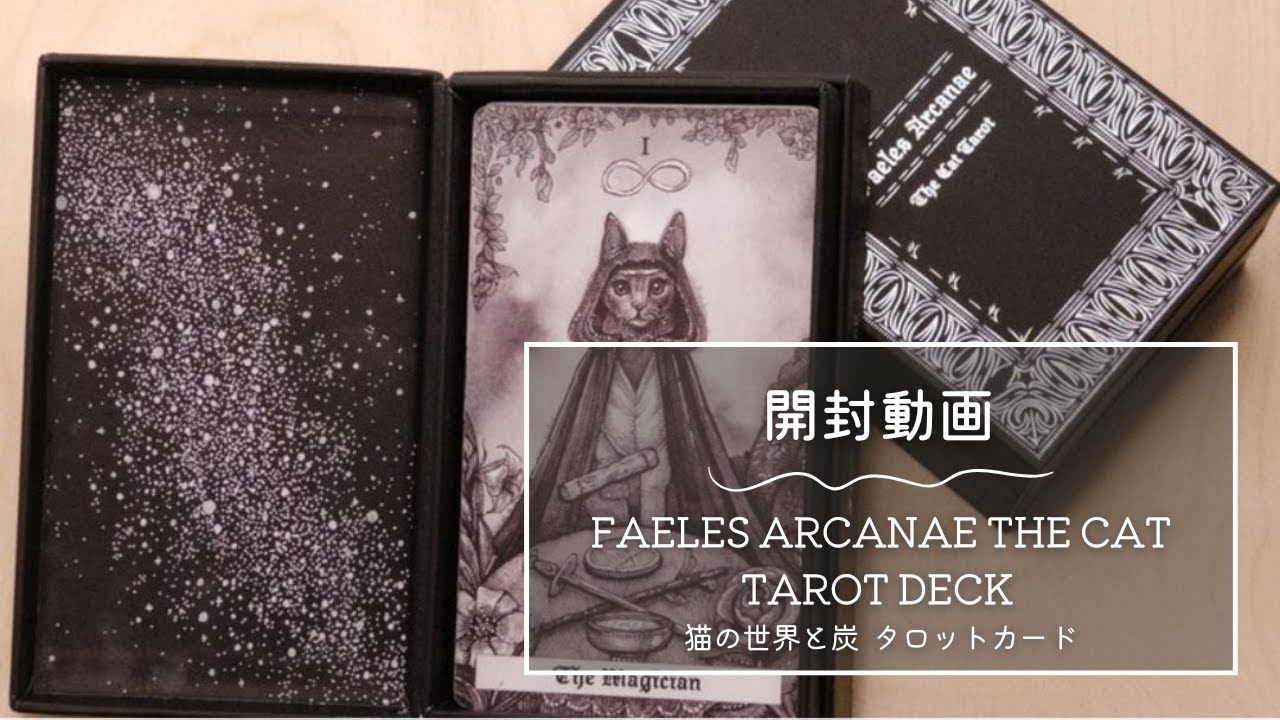 【開封動画】FAELES ARCANAE THE CAT TAROT DECK 猫の世界と炭。タロットカード - YouTube