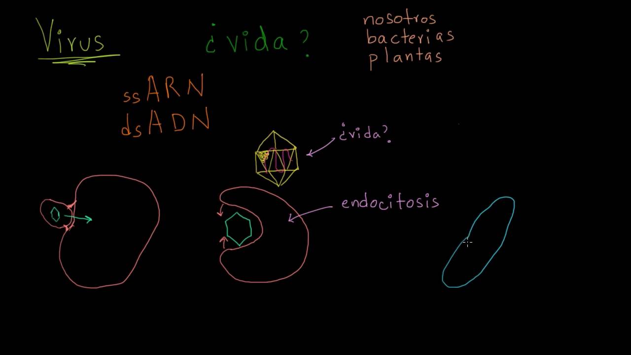 Virus | Herencia y evolución | Biología | Khan Academy en Español - YouTube