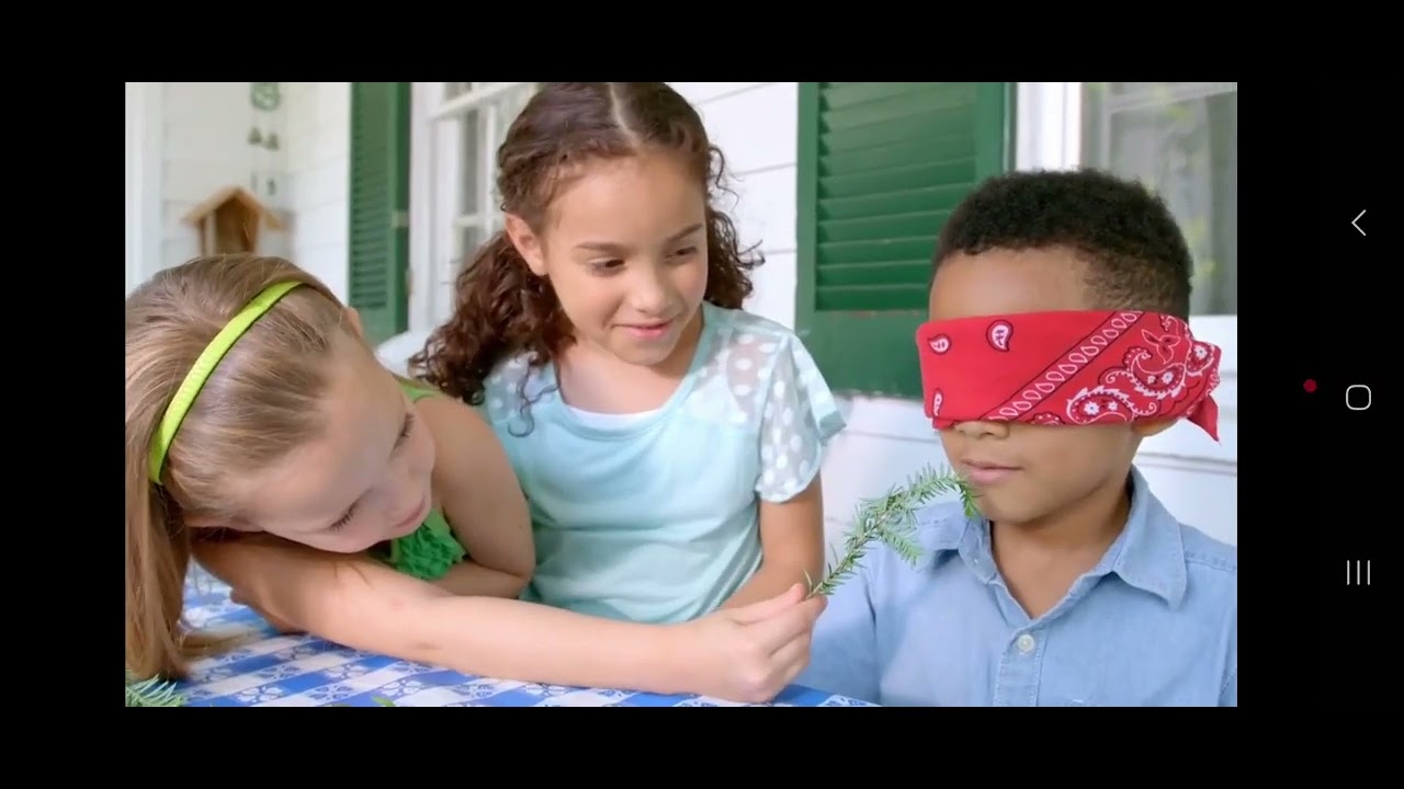 PBS Kids Channel Program Break (2025 KCTS-DT2) - YouTube
