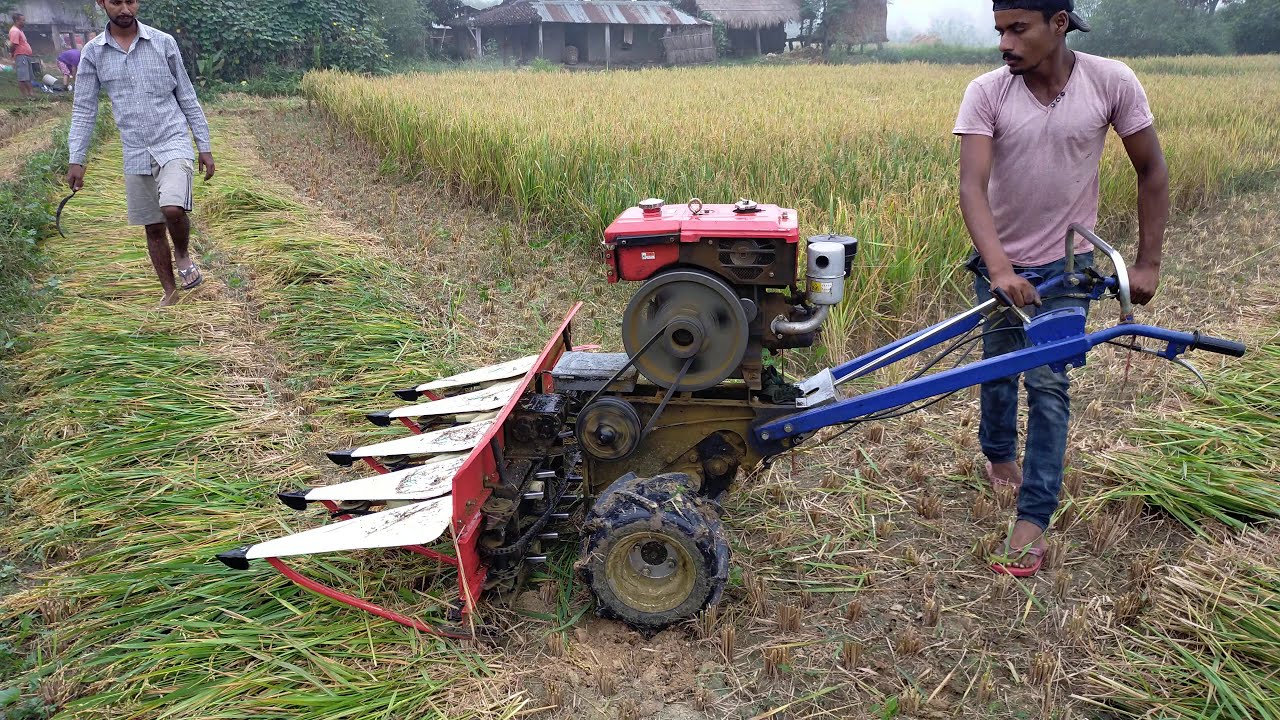 धान काट्ने मेसिन Paddy Cutting Machine in Nepal - YouTube