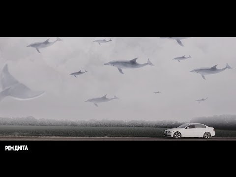 Рем Дигга - Дельфины