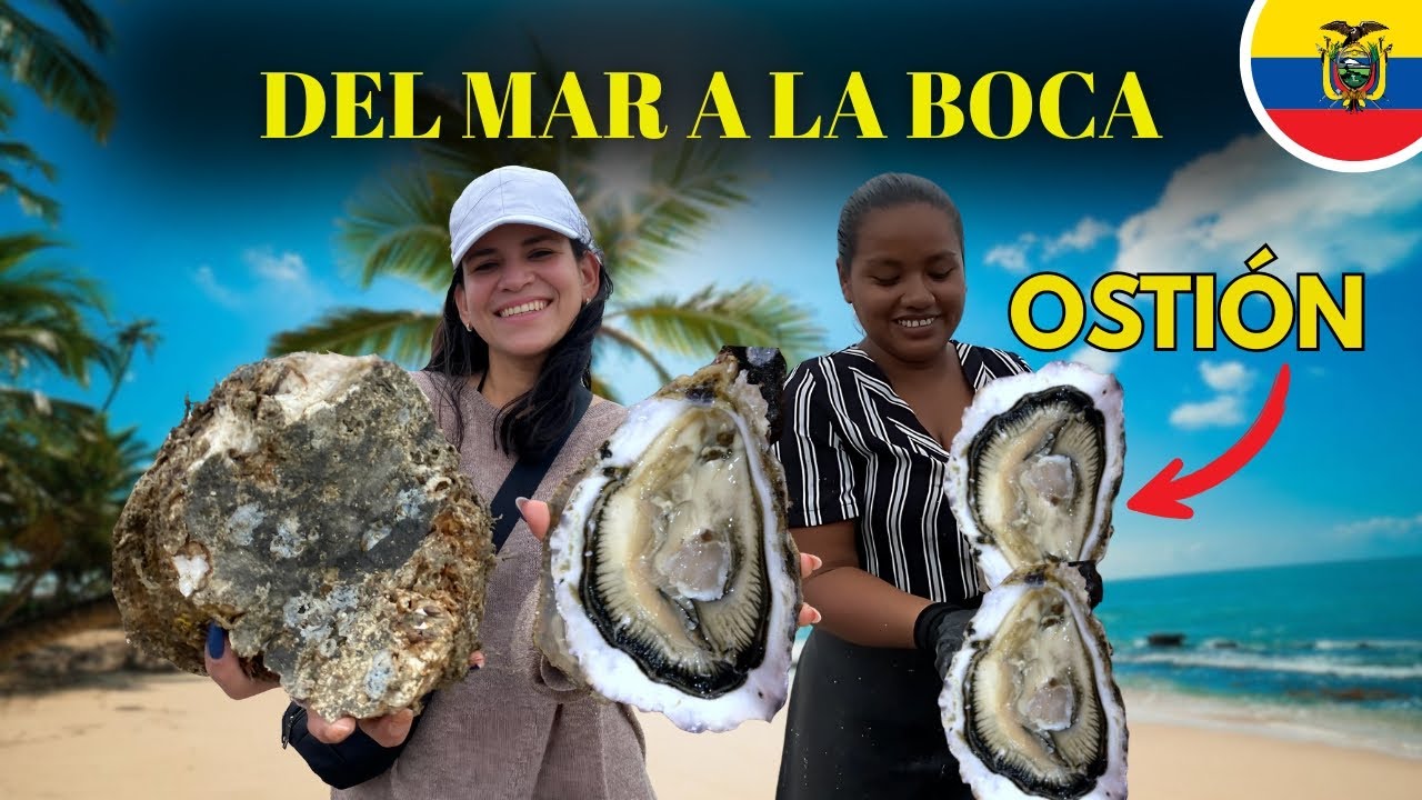 Probando el FAMOSO CEVICHE DE OSTIÓN y comida en MANABI Ecuador 🇪🇨 ...