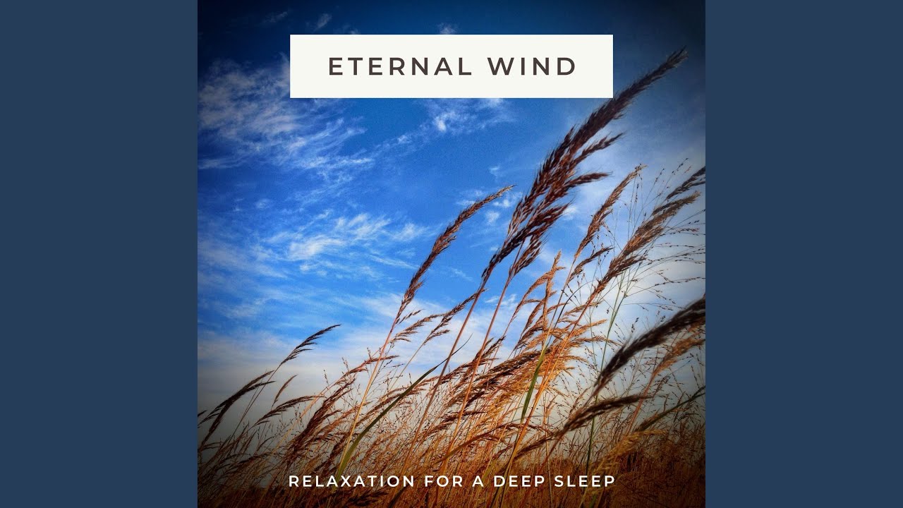 Wind Sound Meditation - YouTube