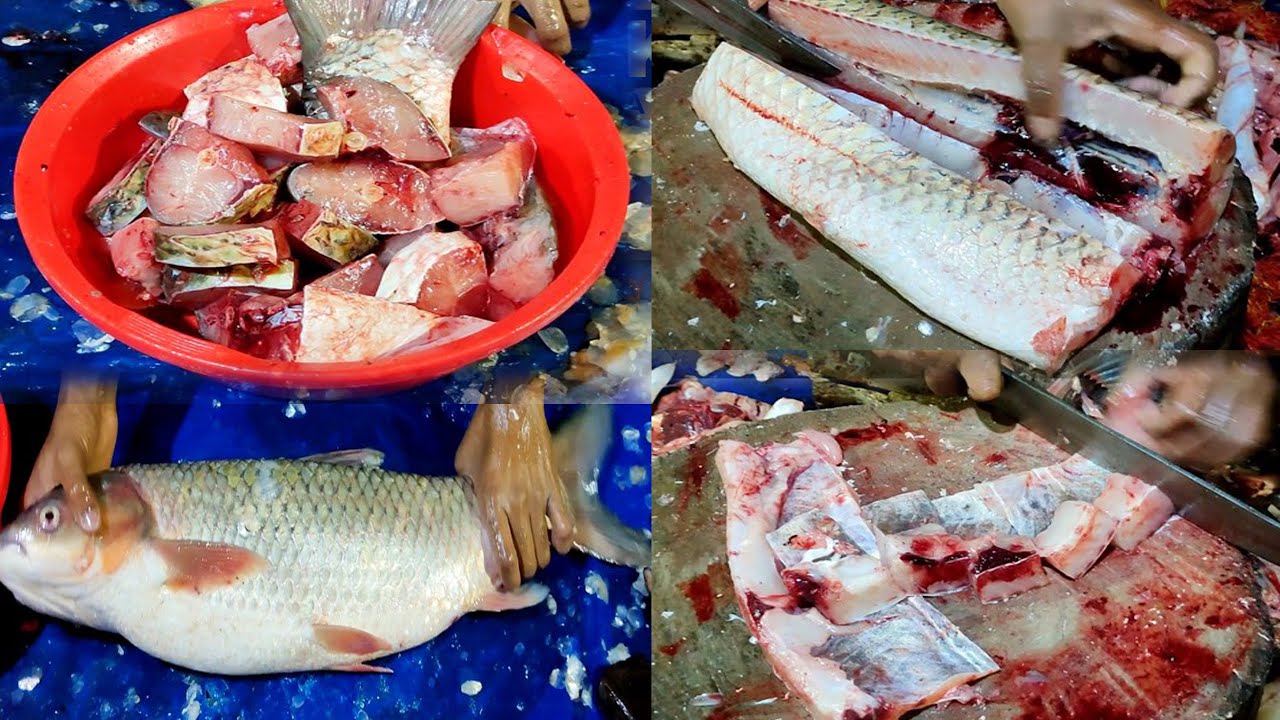 🔥 Incredible Fish Cut Live In Fish Market 🔪 Big Glass Cup Fish Cutting ...