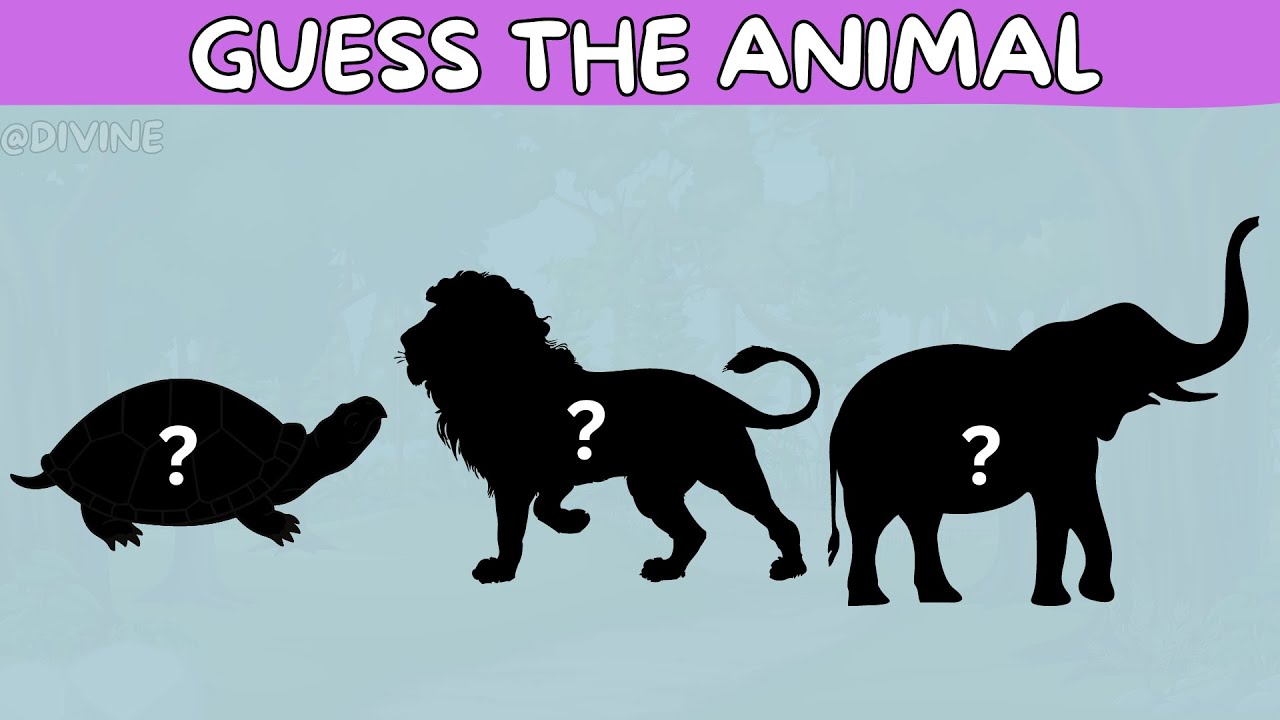 Guess the Animal! | Family Fun ‘What Am I?’ Game with Easy Clues 🦁🐧 ...