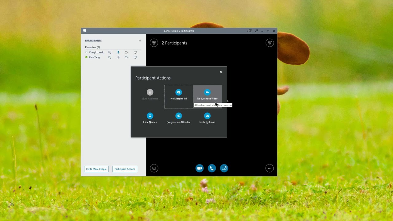 Skype for Business: 5. Managing Meeting Participants - YouTube
