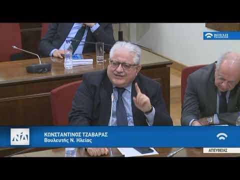 ΤΟΠΟΘΕΤΗΣΗ ΚΩΣΤΑ ΤΖΑΒΑΡΑ ΣΤΗΝ ΕΙΔΙΚΗ ΜΟΝΙΜΗ ΕΠΙΤΡΟΠΗ ΘΕΣΜΩΝ ...