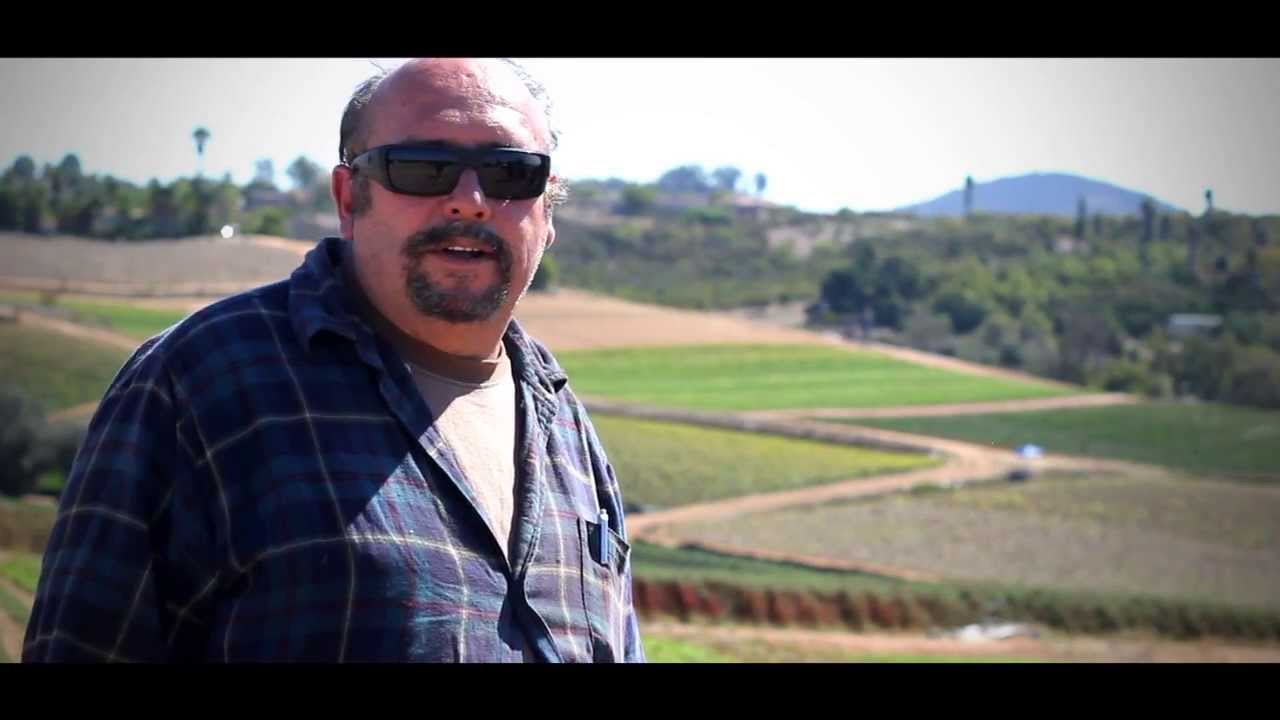 Rodriguez Organic Family Farms - YouTube