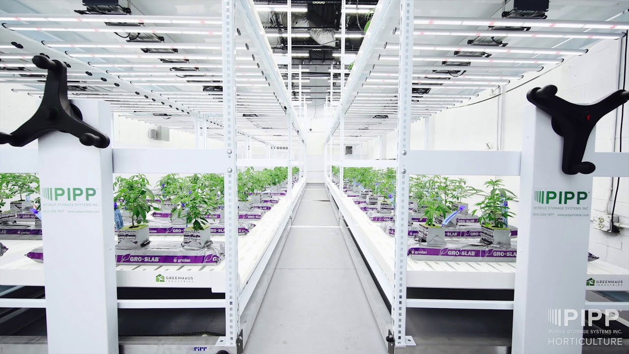 The #1 Vertical Farming Equipment to Elevate Your Cultivation | Pipp ...