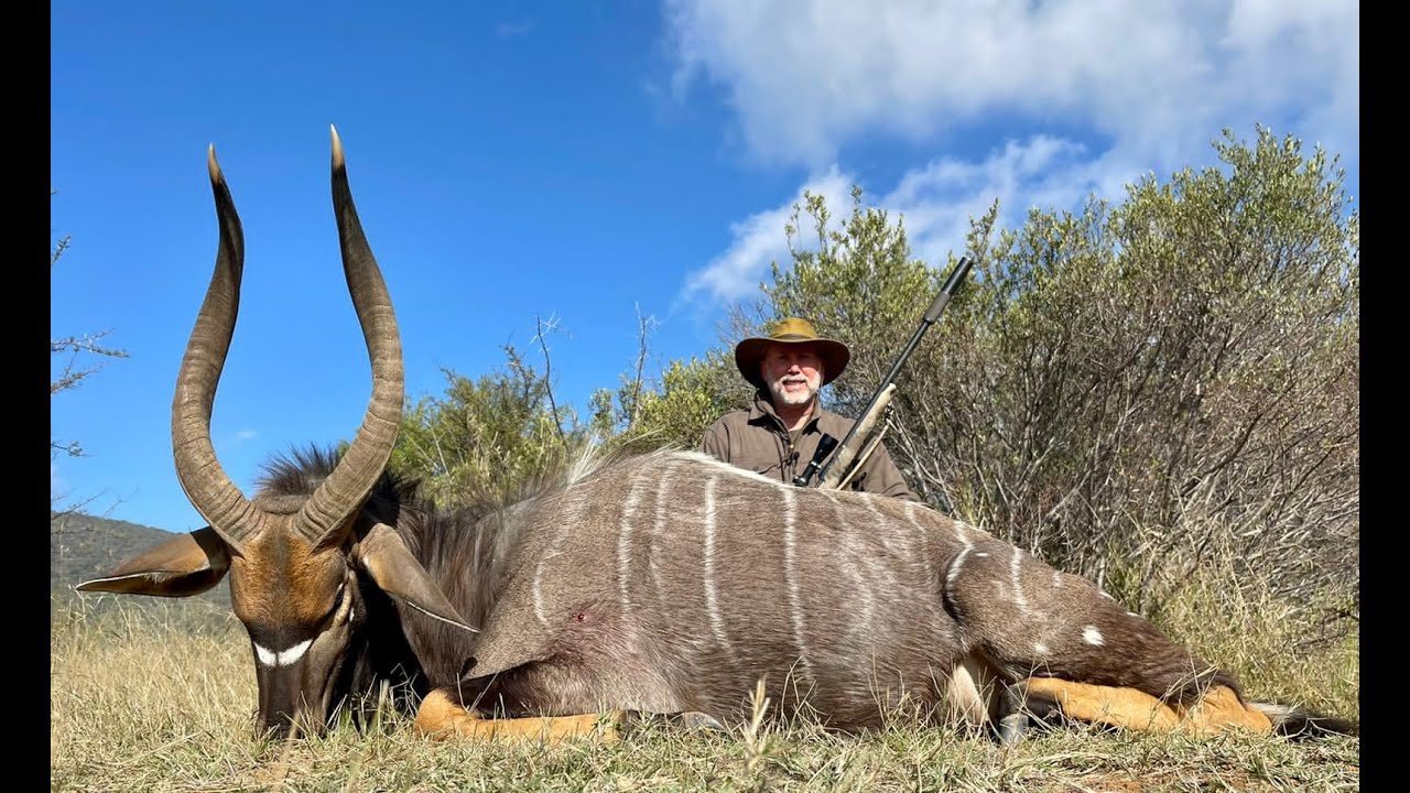 Chris Matson Highlights 2022 | De Wet African Safaris - YouTube