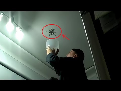 Salam Aleykum MEME LEGENDARY COMPILATION 😂  Salam Aleykum TikTok videos Funny