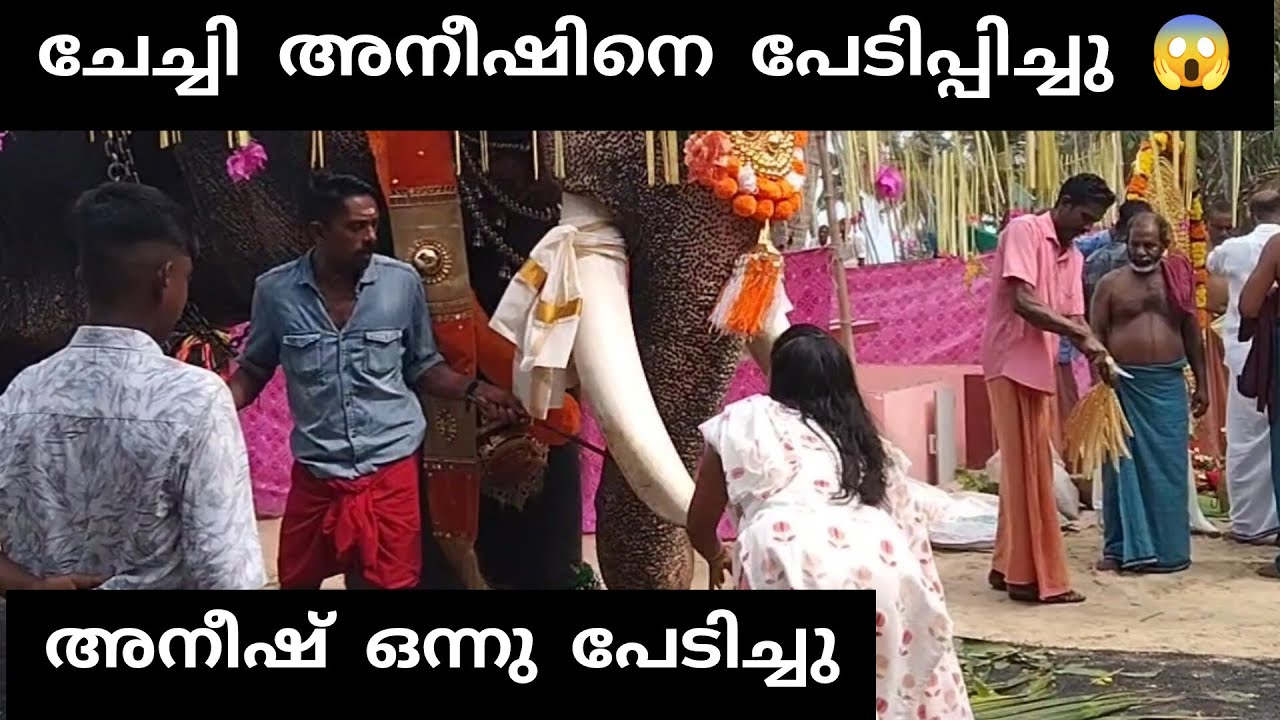 PUTHUPPALLY KESHAVAN l അനീഷ് ഒന്നു പേടിച്ചു 😱 - YouTube