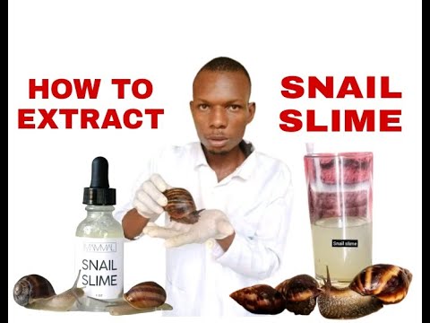 HOW TO EXTRACT SNAIL SLIME - YouTube