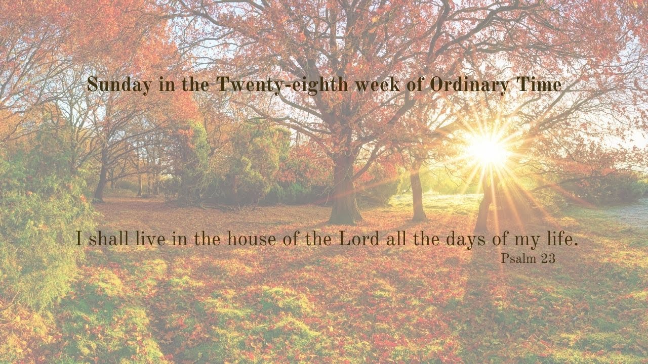 Monday in the 28th Week of Ordinary Time - YouTube