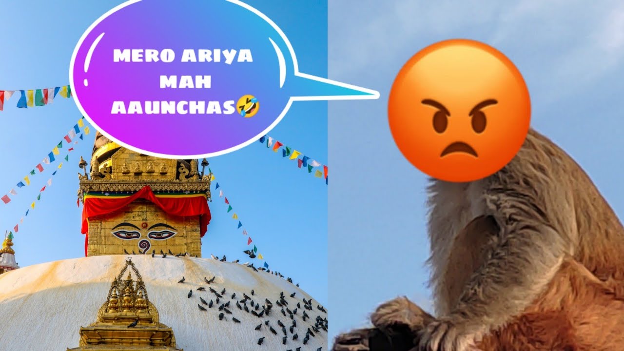 VFS BATA MESSAGE NI AAYO 🥺 || Swayambhunath temple || Manish Kafle ...
